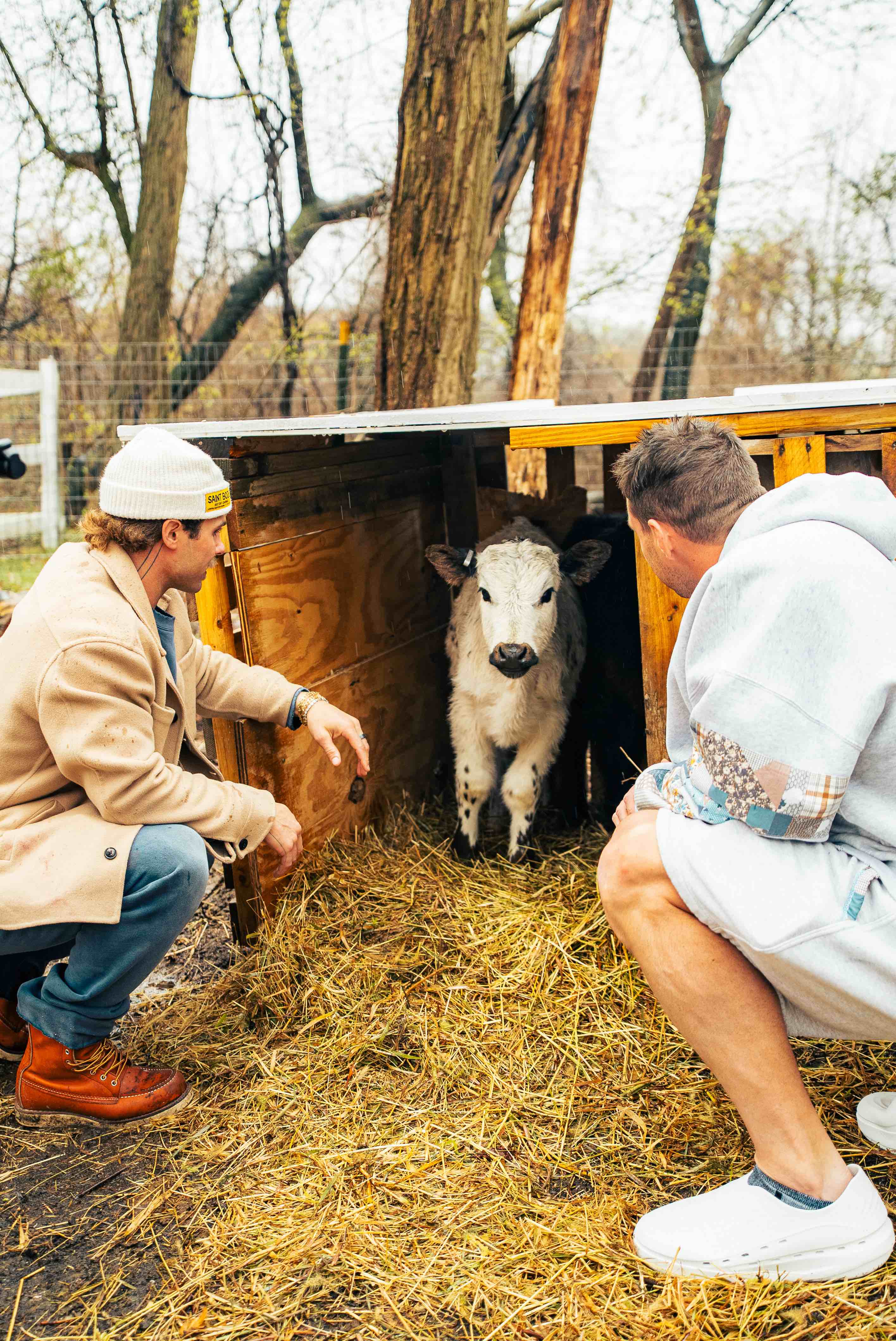 Sweet Honey Farm | Regenerative Farm & Exclusive Memberships