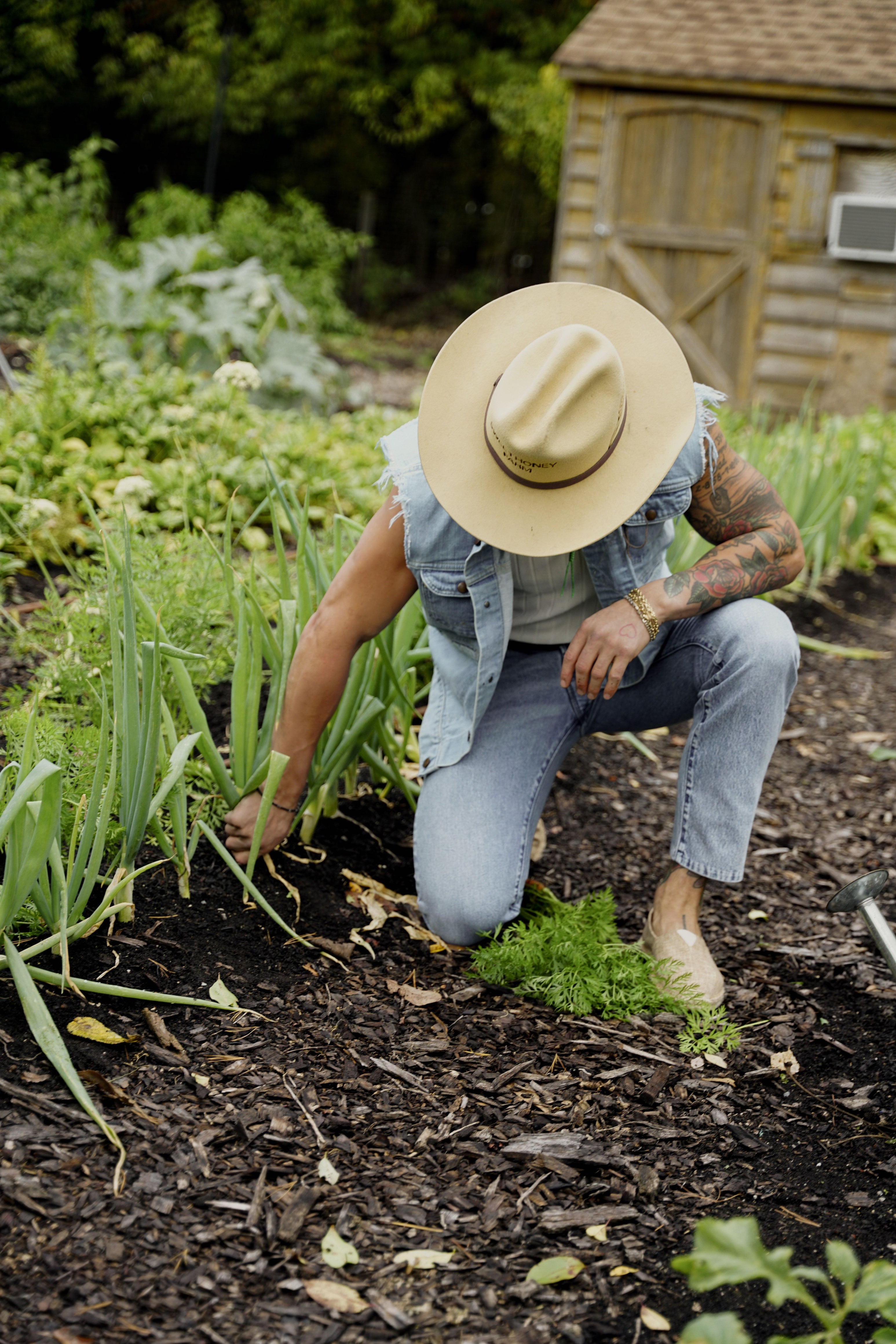 Signature Member – Sweet Honey Farm