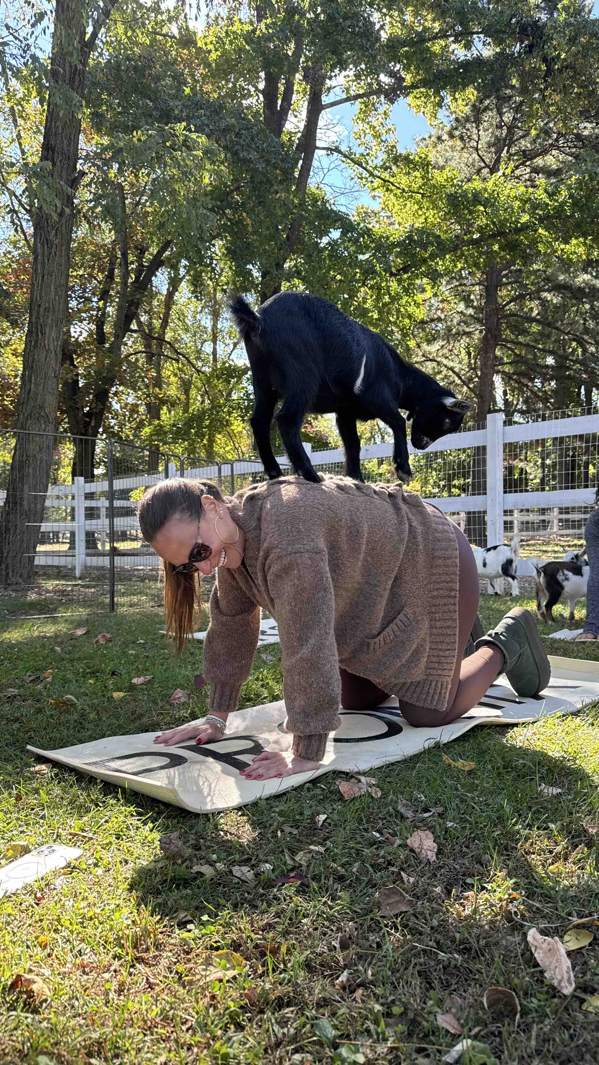 Sweet Honey Farm Day Pass – Wellness, Clarity & Coworking Farm