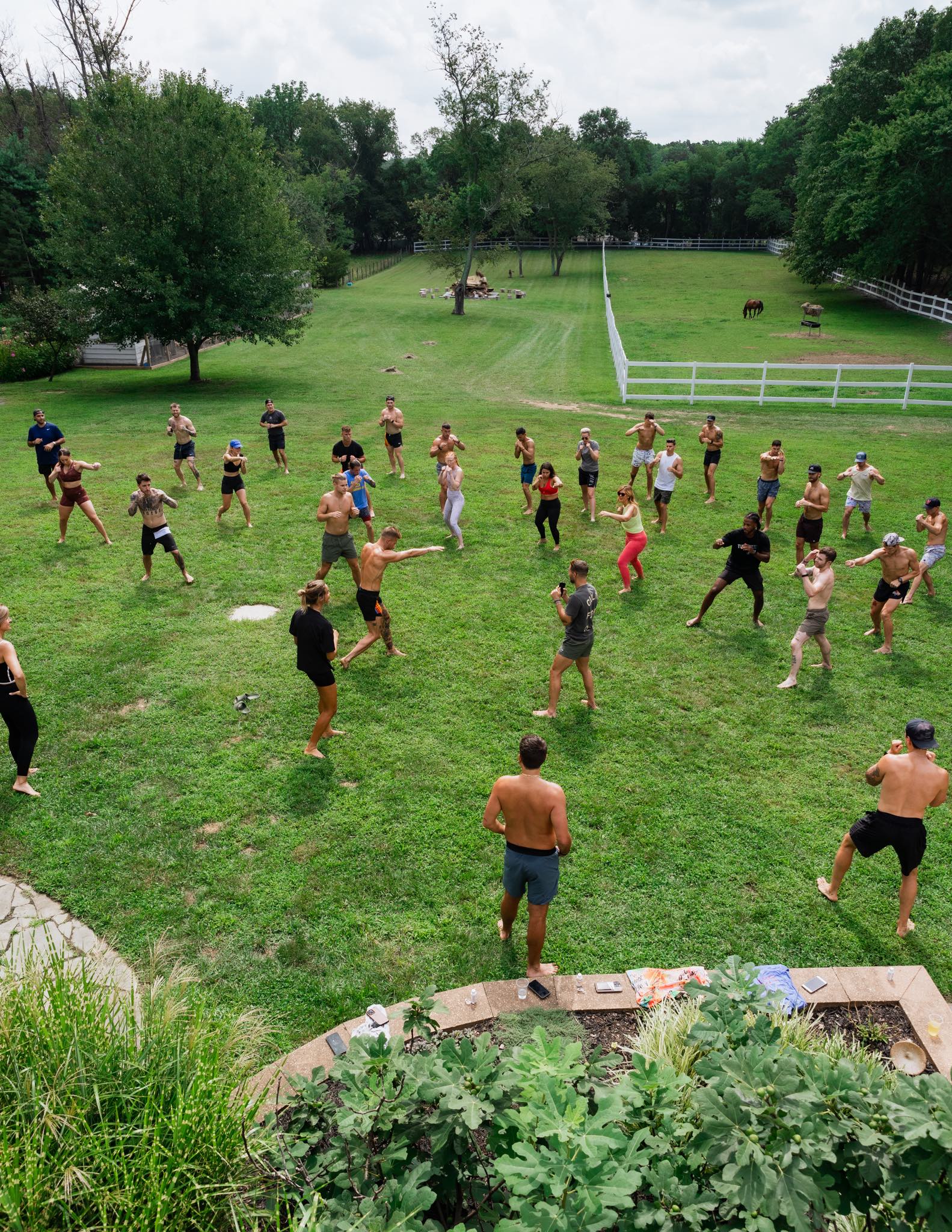 Sweet Honey Farm Day Pass – Wellness, Clarity & Coworking Farm