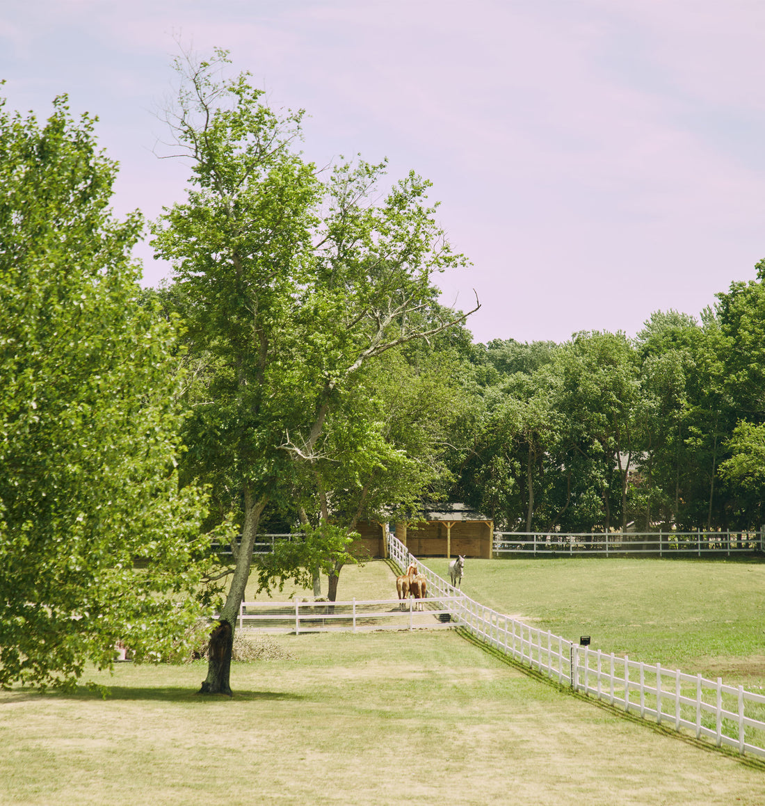 Membership – Sweet Honey Farm