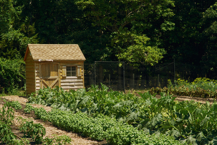 Sweet Honey Farm | Regenerative Farm & Exclusive Memberships